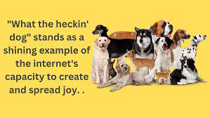 What The Heckin Dog: Complete Information