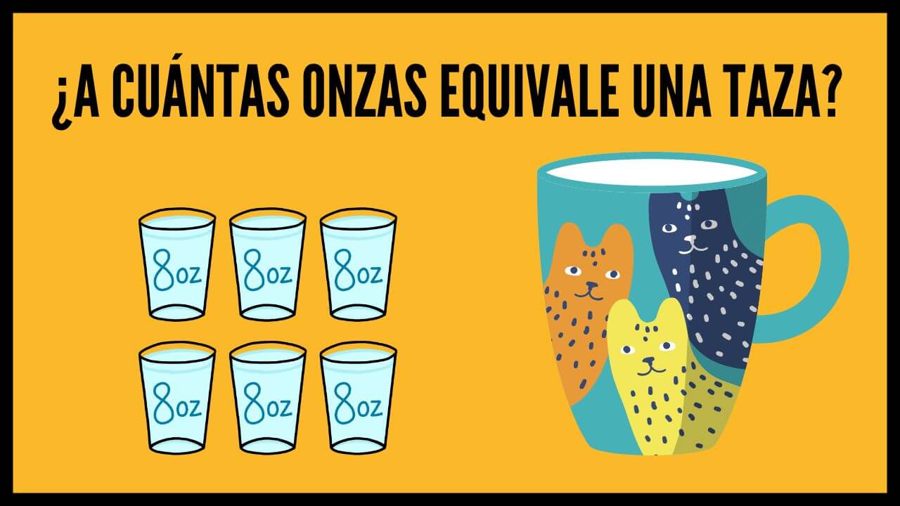 ¿A cuántas onzas equivale una taza? - Lifeyet